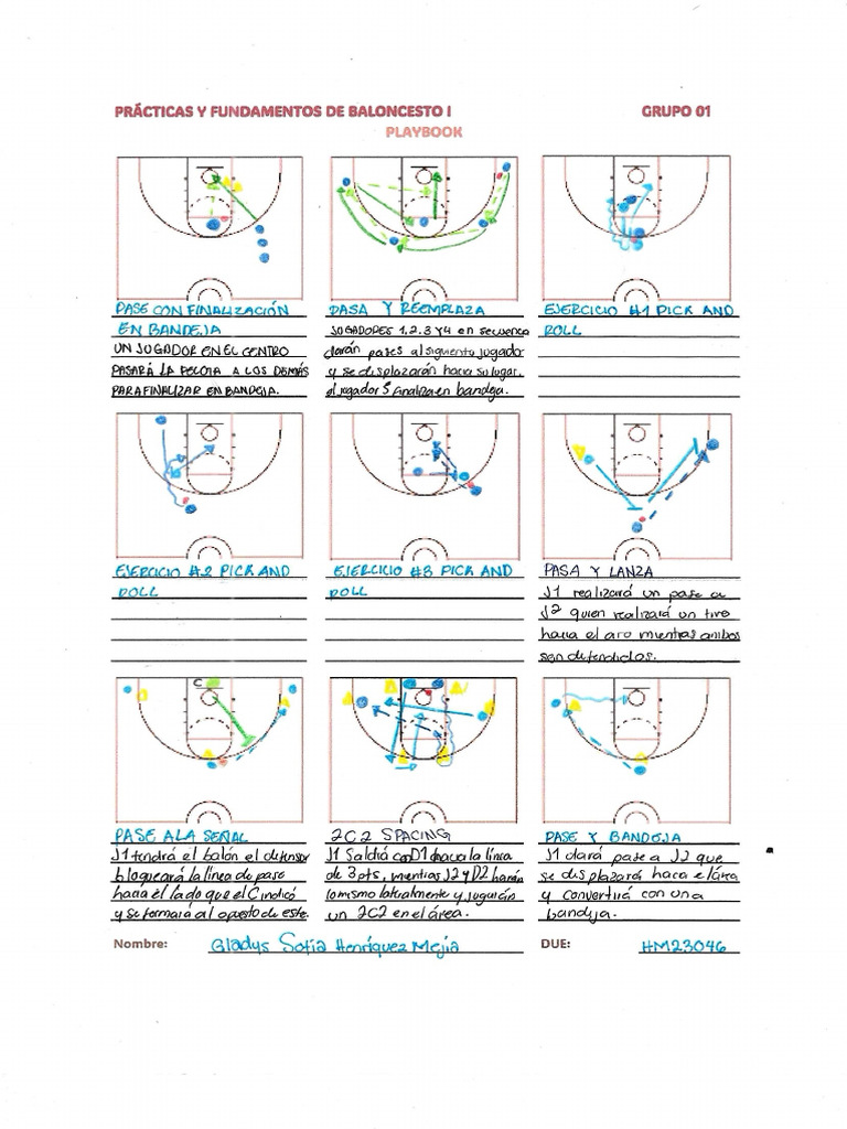 Playbook | PDF