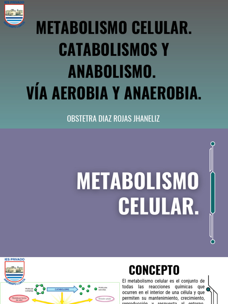 Metabolismo Celular | PDF | Metabolismo | Glucólisis