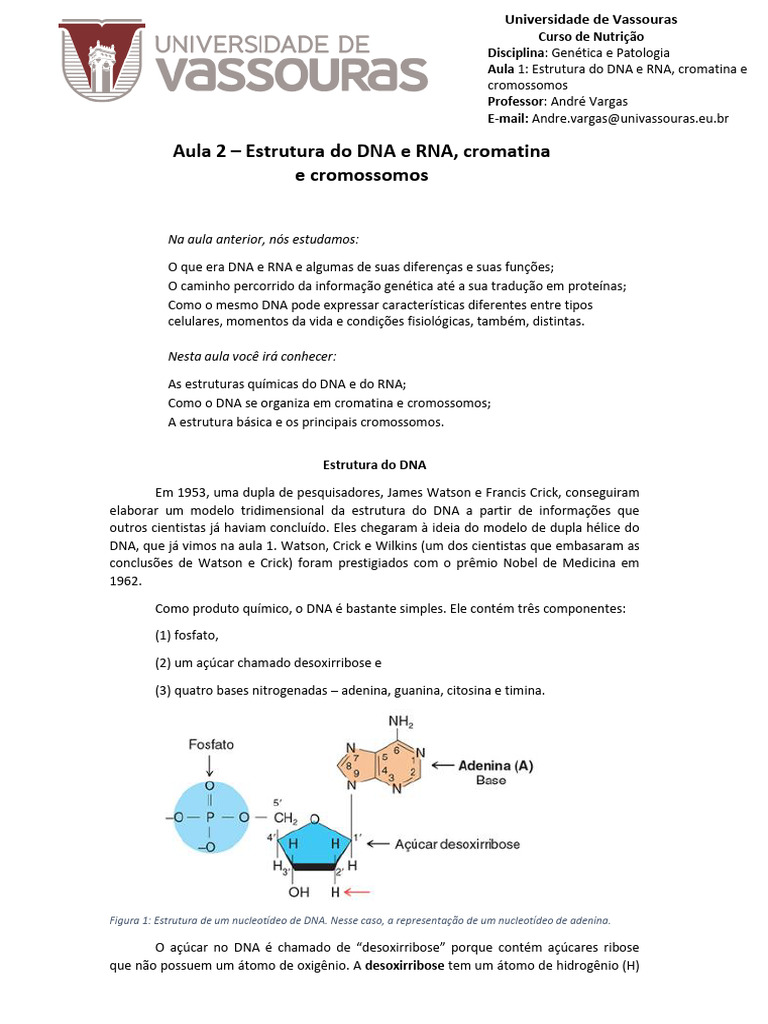 Aula 2 - Estrutura do DNA e RNA | PDF | Histona | RNA