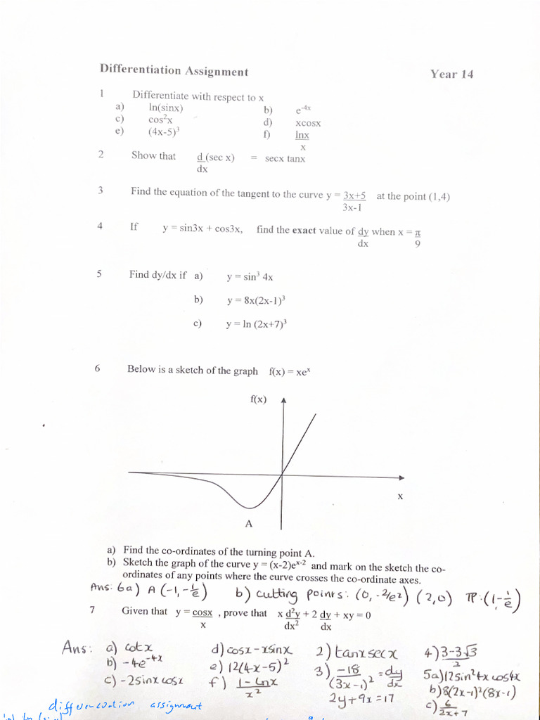Differentiation Assignment | PDF