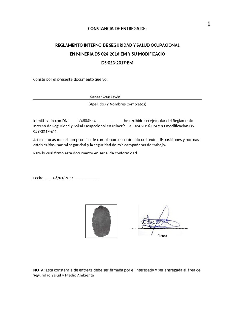 Constancia de Entrega de Risst Ds 024 | PDF