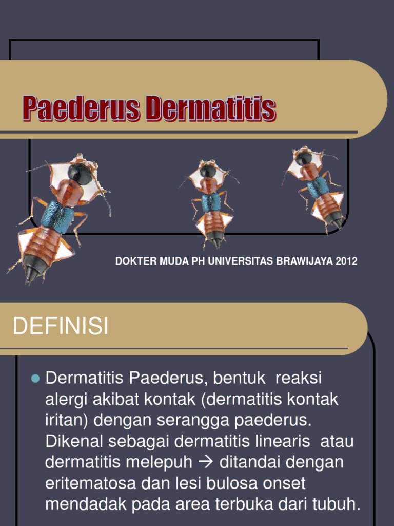 Dermatitis Paederus | PDF