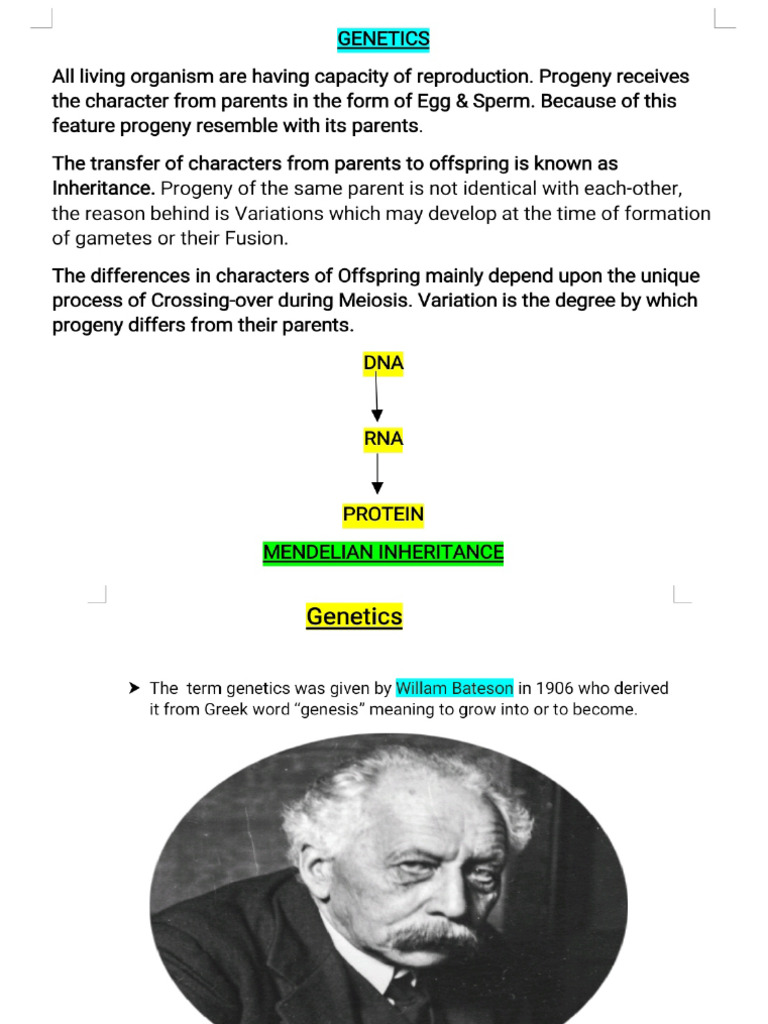 Mendelian Genetics | PDF