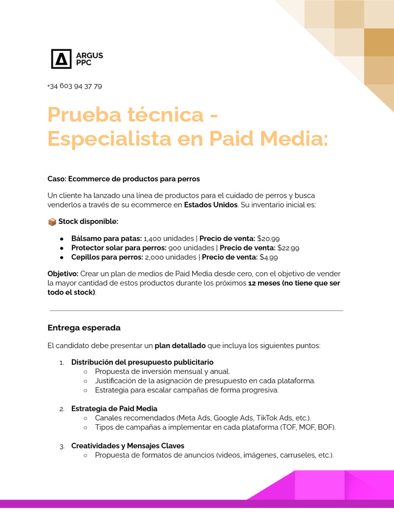 Prueba T Cnica - Especialista en Paid Media 1 | PDF