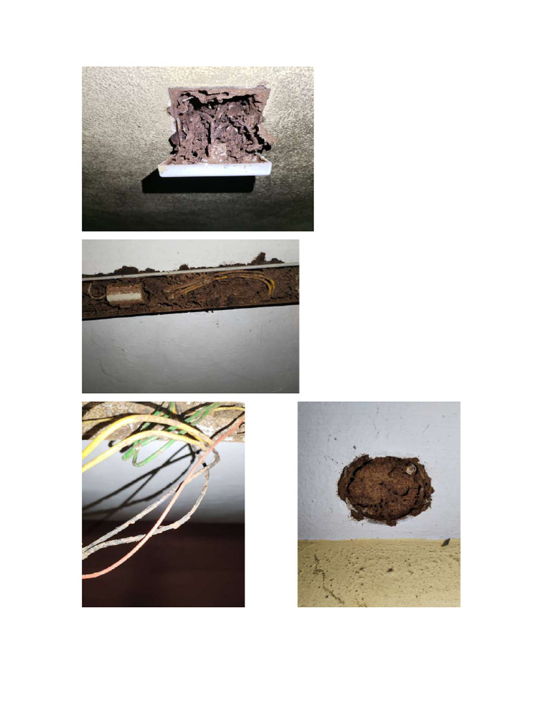 Documents 2 Compressed | PDF