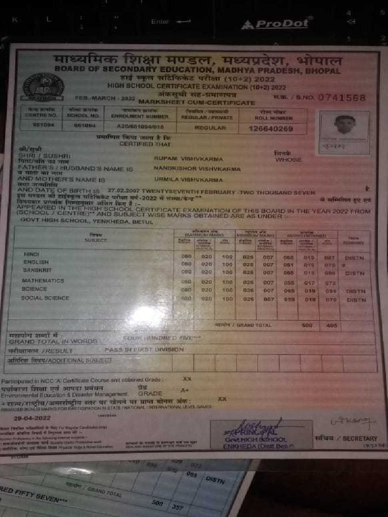 Board Certificate | PDF