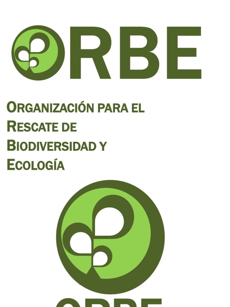 Proyecto Orbe | PDF