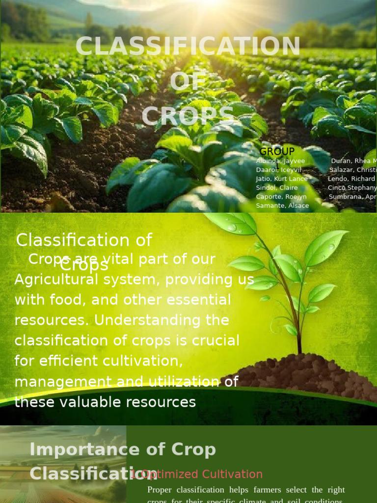 Classification of Crops | PDF