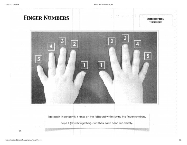 Finger Positions | PDF
