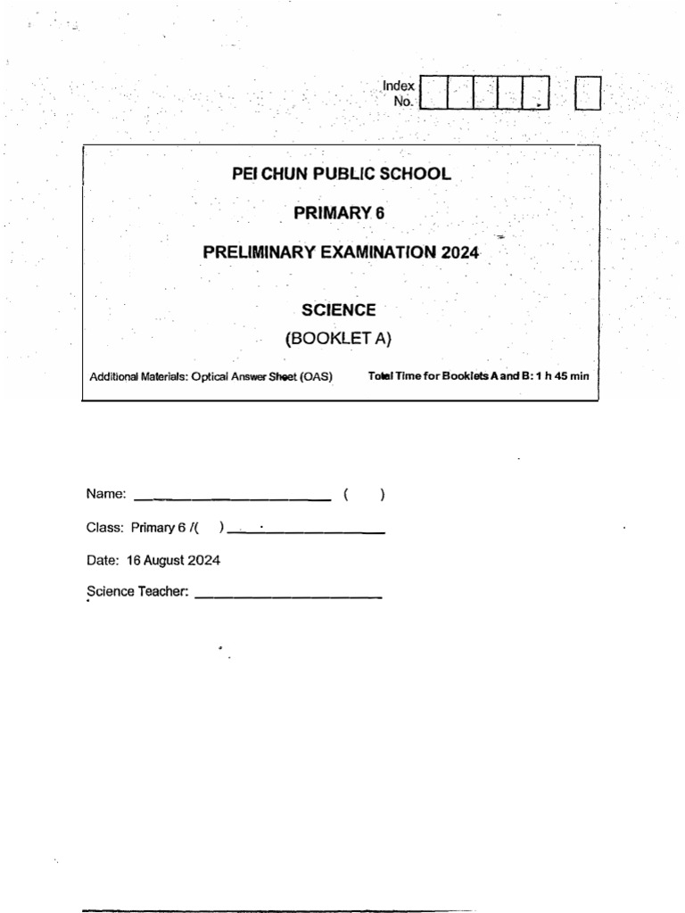 PB Chun School: Public - Primary6 Preliminary Examination 2024 | PDF
