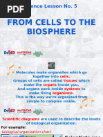 Grade 7 - Consolidation4 - From Cells To Biosphere | PDF | Career & Growth