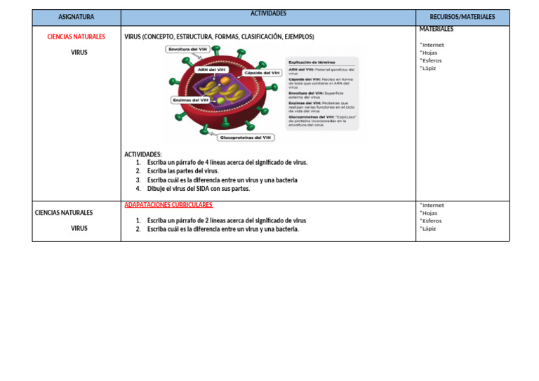 Virus (Concepto, Estructura, Formas, Clasificación, Ejemplos) | PDF