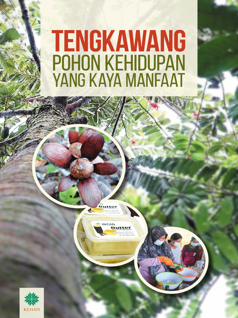 Buku Tengkawang HiRes 280823 Final Cetak | PDF