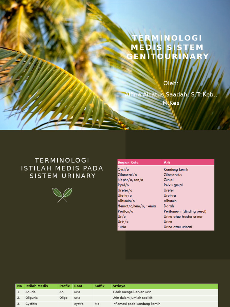Terminologi Medis Sistem Genitourinary | PDF