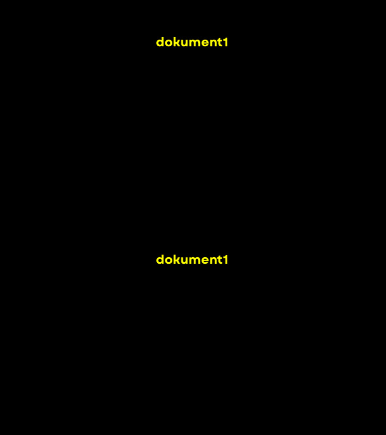 Dokument 1 | PDF