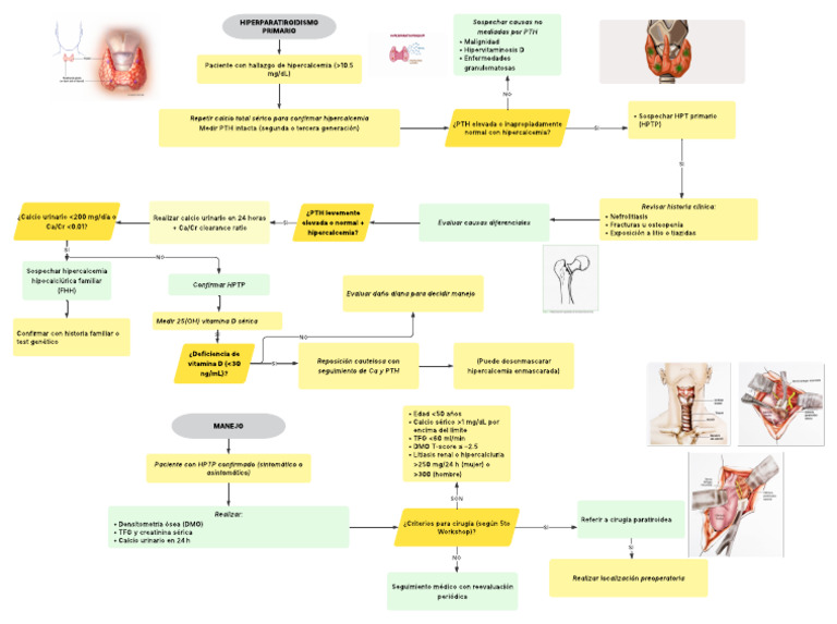 HIPER | PDF | Sistema endocrino | Enfermedades y trastornos