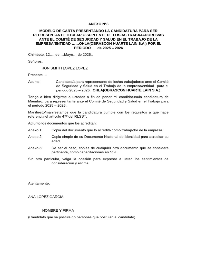 Anexo N°3 Candidato 2 | PDF