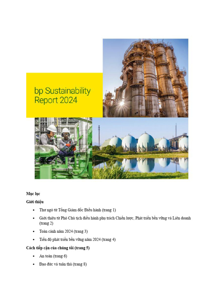 BP - ESG Report (VN) | PDF