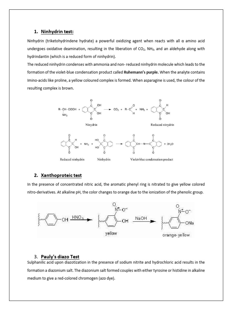 Amino Acid Test Principle and Chemical Equations | PDF