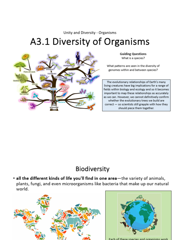 A3.1 Diversity of Organisms | PDF | Ploidy | Karyotype
