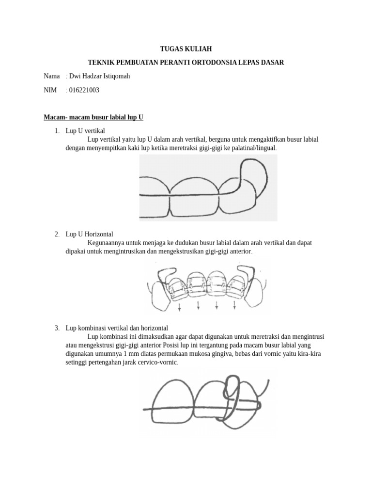 Macam-Macam Lup | PDF