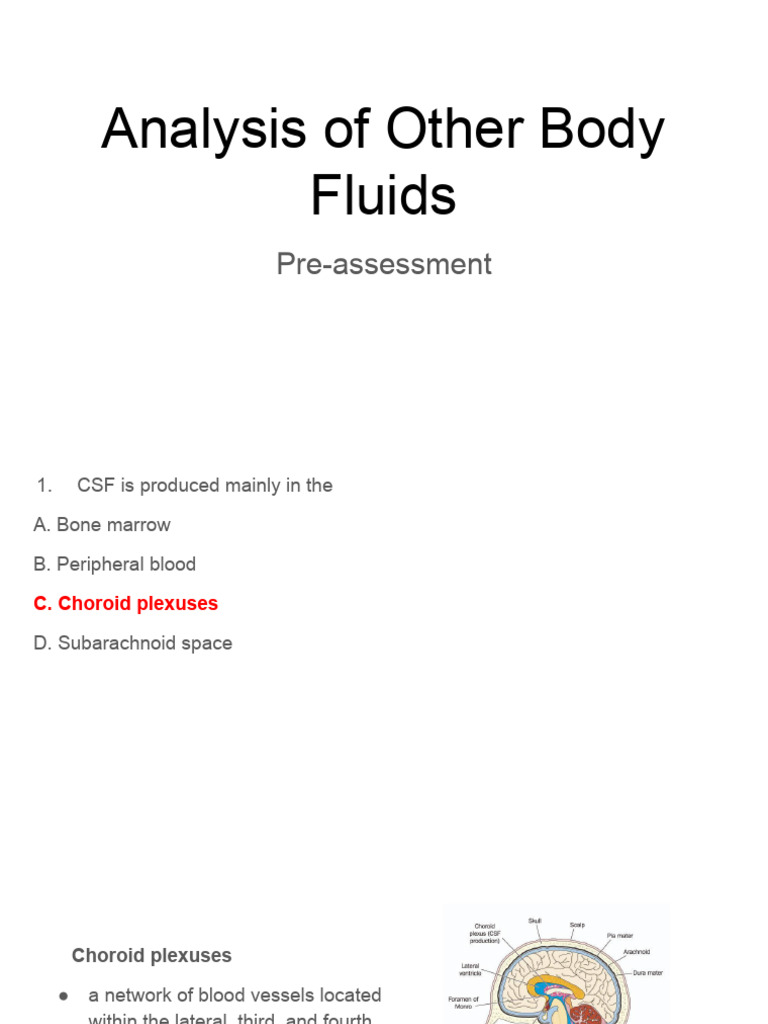 CSF Analysis: Functions, Tests, and Findings | PDF | Cerebrospinal ...
