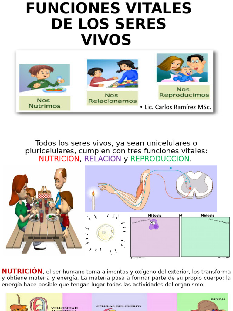 Funciones Vitales de los Seres Vivos | PDF | Sistema inmune | Infección