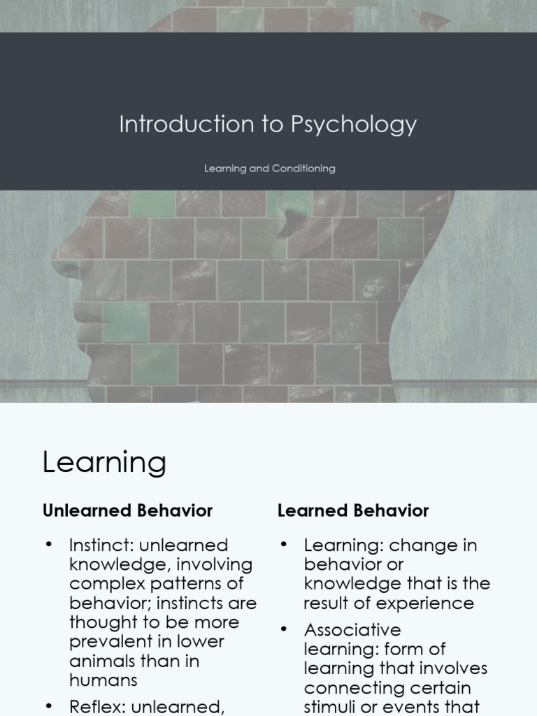 8 Learning & Conditioning | PDF | Classical Conditioning | Reinforcement