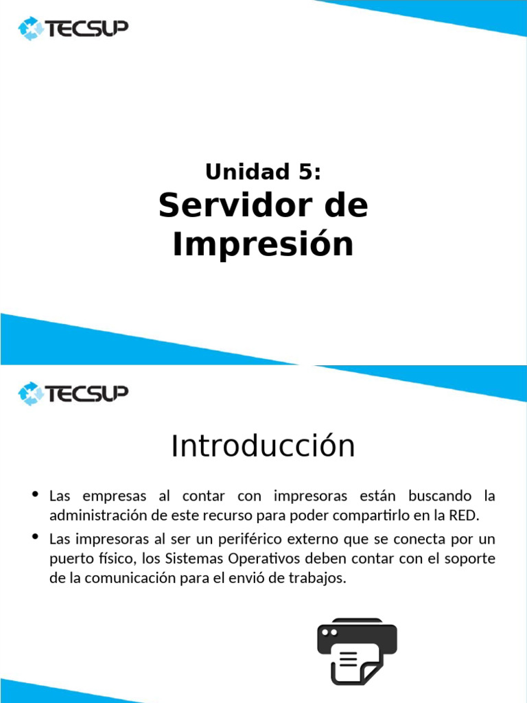 U05 Printer | PDF | Ingeniería Informática | Informática