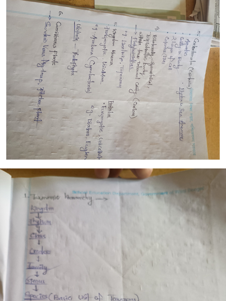 Image To PDF 20250707 10.20.42 | PDF