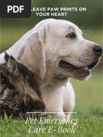 IV Fluid Rate Guidelines in Dogs and Cats Cheat Sheet.01 | PDF ...