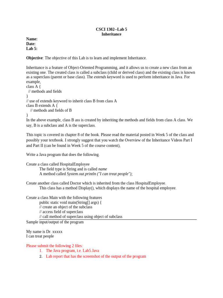 Sum25 Csci 1302 Lab5 | PDF