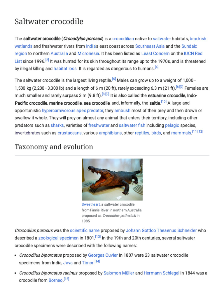 Saltwater Crocodile - Wikipedia | PDF | Crocodile | Zoology