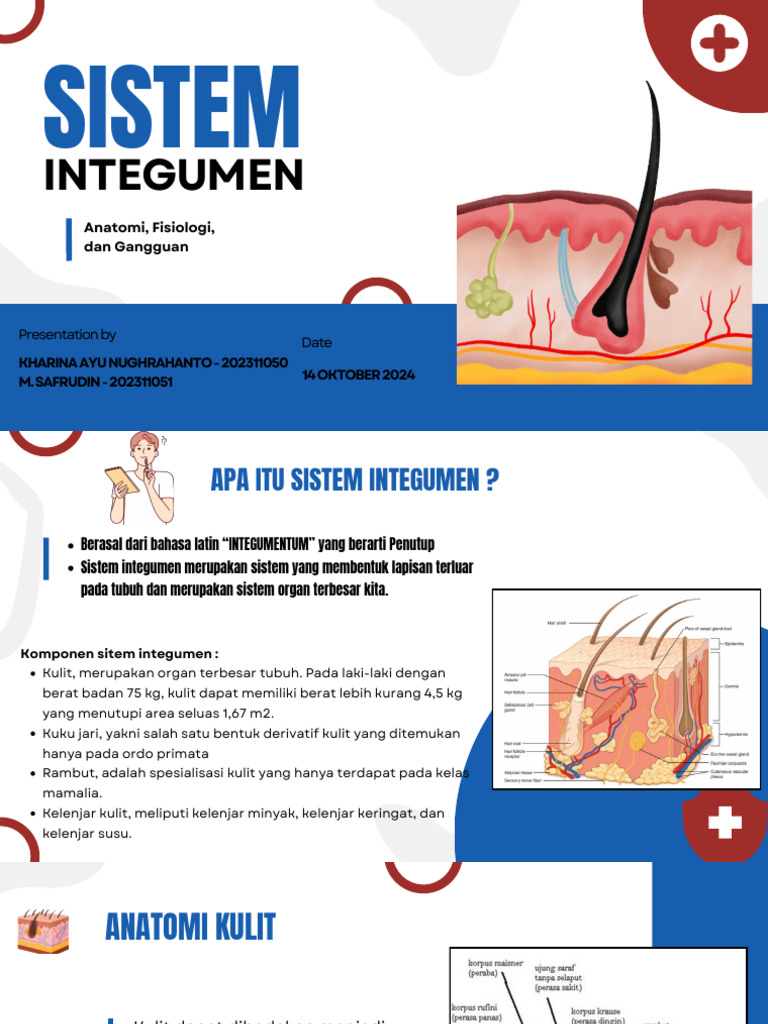 Fungsi dan Gangguan Sistem Integumen | PDF