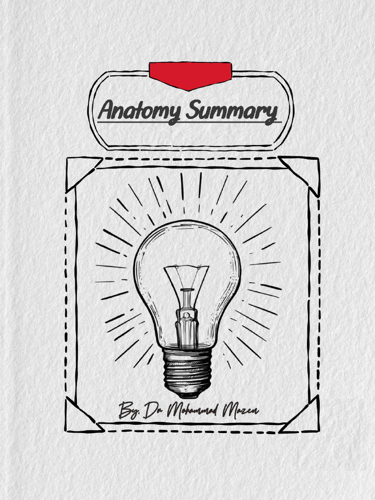 Anatomy GIT by DR - Mohammad Mazen (Part1) - Compressed | PDF