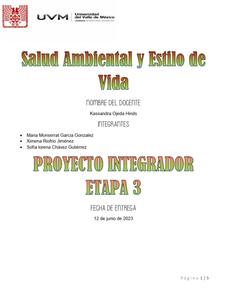 Salud Ambiental y Estilo de Vida | PDF | La contaminación del aire | Contaminación