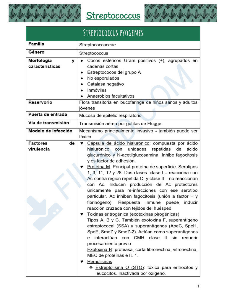 2 - Streptococcus | PDF | Estreptococo | Meningitis