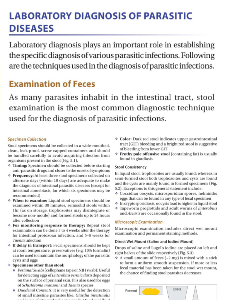 Stool Examination | PDF