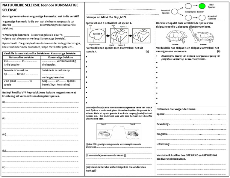 2 - Formation of New Species - AFR - ONE PAGER Fin | PDF
