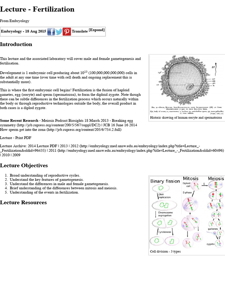 2015ANAT2341 Lecture 2 - Fertilization | PDF | Meiosis | Fertilisation