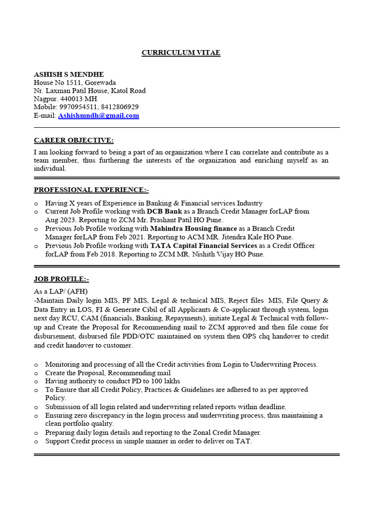 CV - Ashish Mendhe Updated 24 | PDF