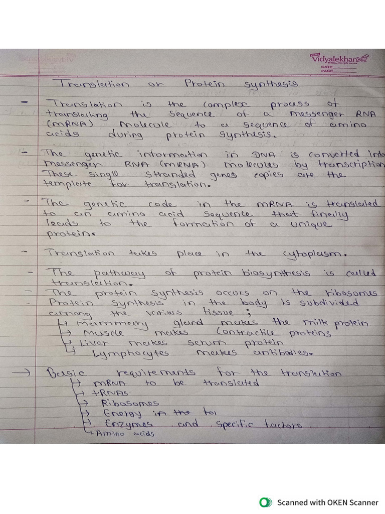 Protein Synthesis - Translation | PDF