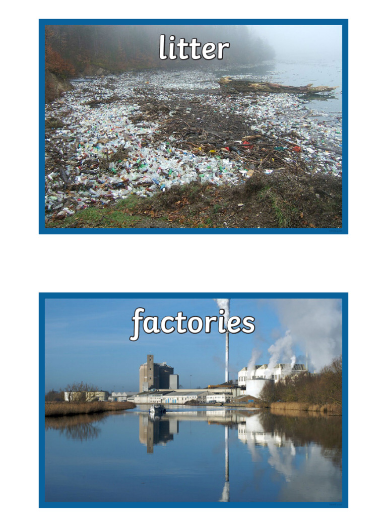 Litter | PDF