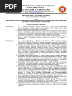 SK Tim Pengelola Pip 2024 | PDF