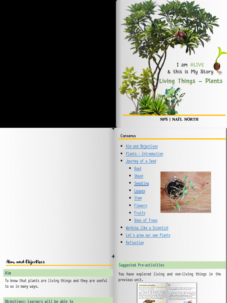 Grade 2 Plant Life Exploration | PDF