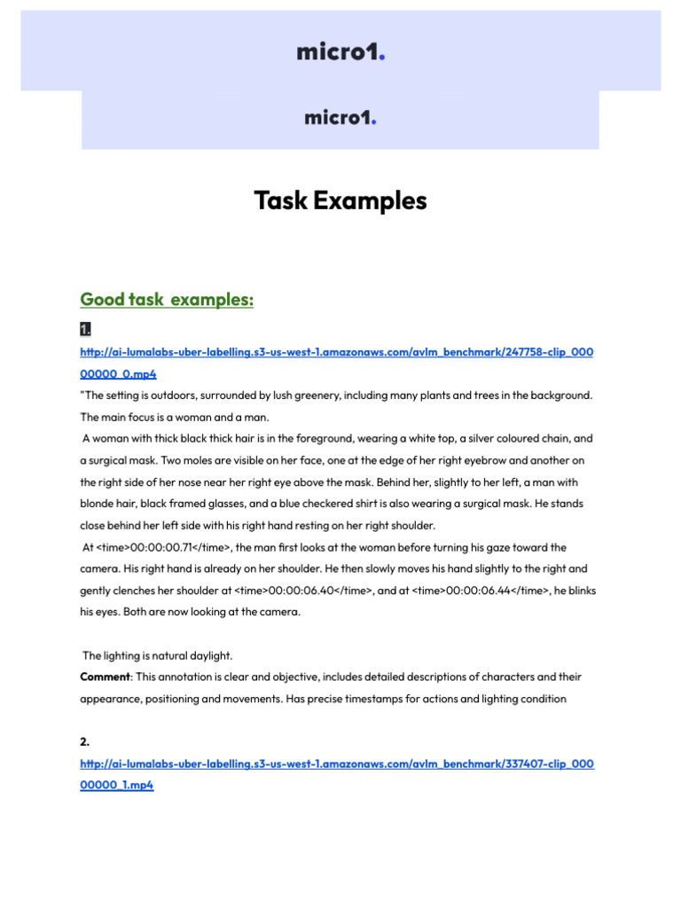 Luma - Micro1 - Task Examples | PDF | Violin | Fencing