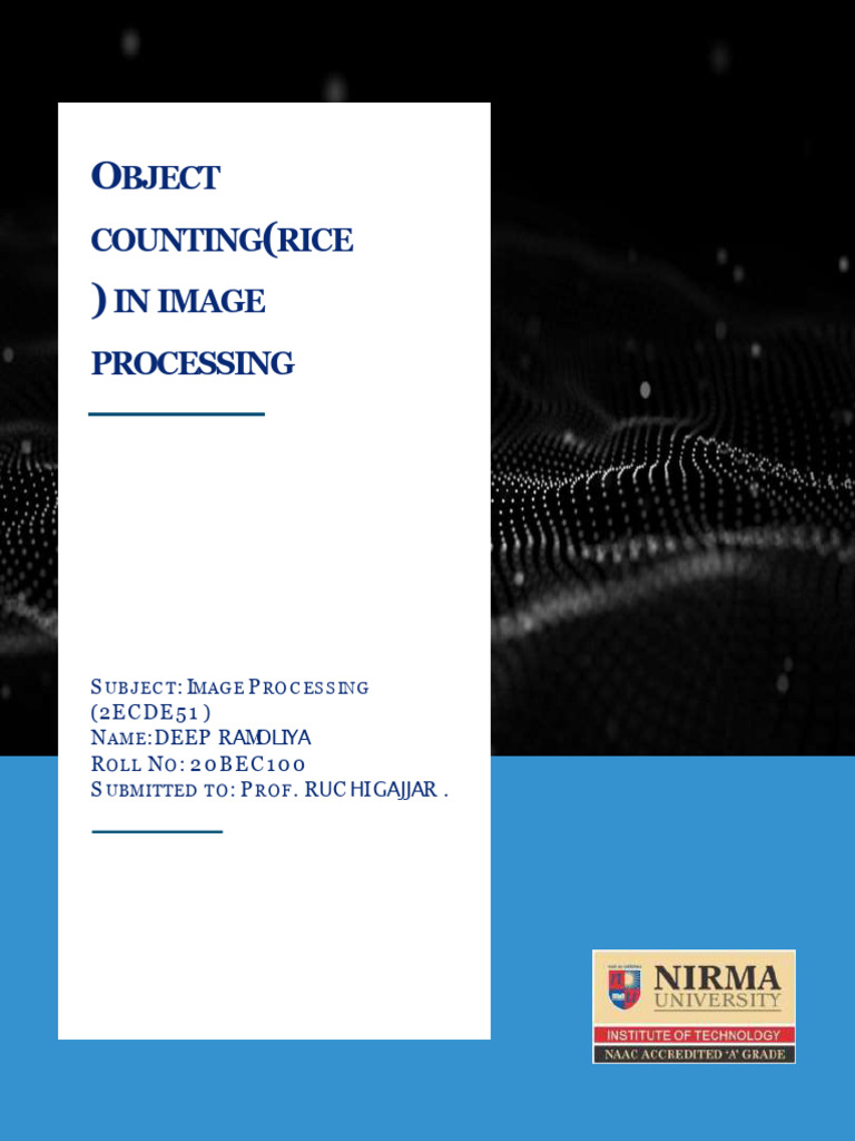 20bec100 Special Assignment Ip | PDF | Image Segmentation | Imaging