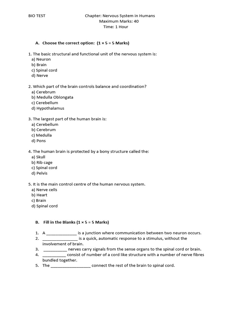 Nervous System Bio Test Questions | PDF | Nervous System | Brain