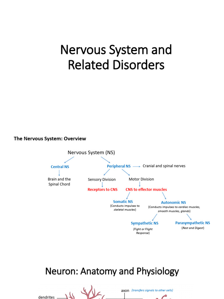 Nervous System Disorders Overview | PDF | Motor Neuron | Nervous System