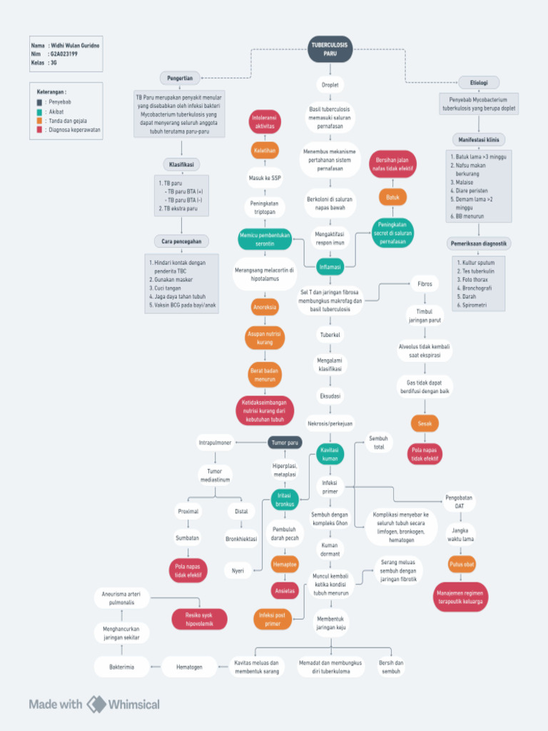 Mind Mapping Patofisiologi Tuberculosis Paru | PDF